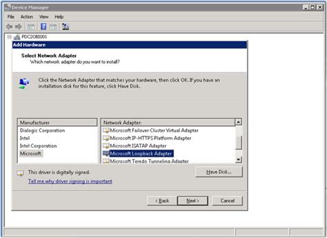 Microsoft Loopback Adapter Gns Lasiwash