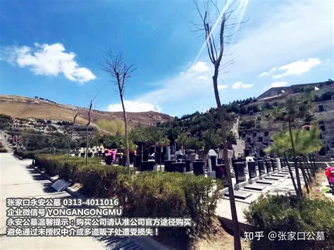 张家口西山公墓的照片 知乎
