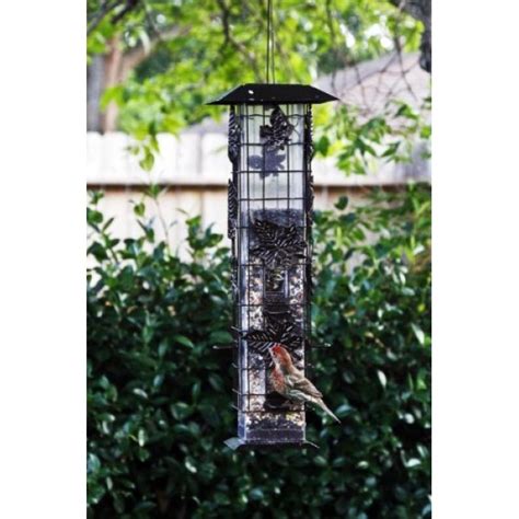Perky Pet 336 Squirrel Be Gone Wild Bird Feeder