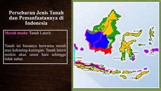 Jenis Tanah Pptx