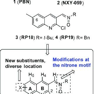 Structures Of Nitrones 1−4 And The Functional Modifications