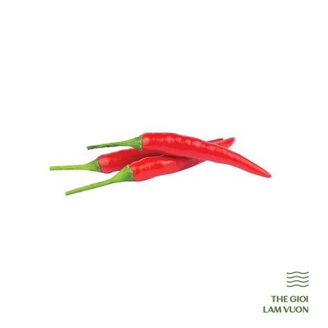 Cây ớt Hiểm Thế Giới Làm Vườn