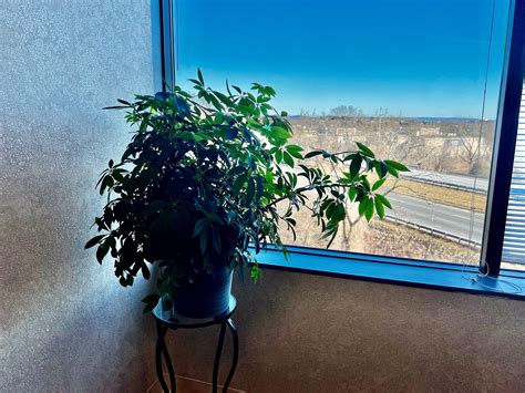 Wednesday Wisdom — The Jamrog Group