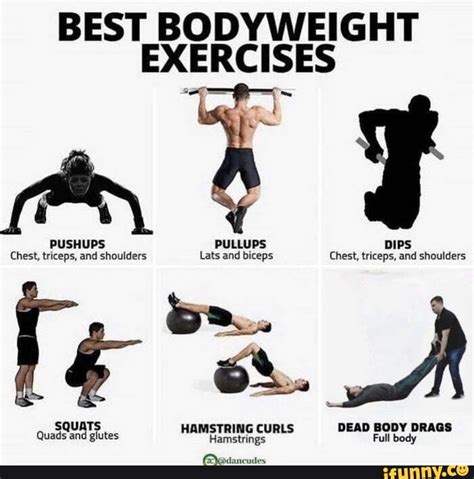 BEST BODYWEIGHT EXERCISES PUSHUPS PULLUPS DIPS Chest Triceps And Shoulders Lats And Biceps