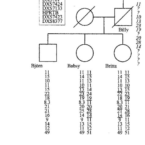 Kinship Testing Of Putative Cousins Str Genotypes Are Shown In The