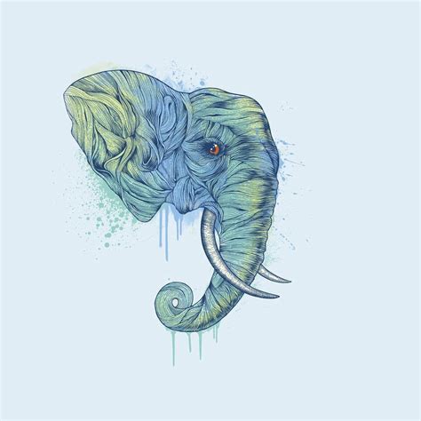 Elephant Minimalist Art Wallpapers Top Free Elephant Minimalist Art