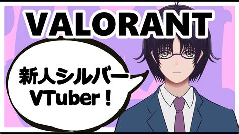 【valorant】シルバーソロコンペ！新人シルバーvtuber！（※遅延有り）【絵描きvtuber】 Youtube