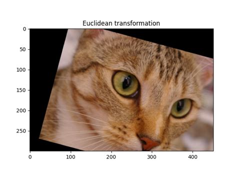 10 geometrical transformations of images — skimage 0 25 2 documentation