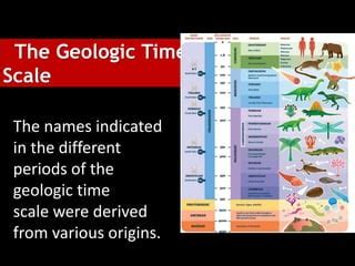 Quarter 4 Week 7 Defining And Identifying Subdivisions Of Geologic Time Scale Using Index Fossil