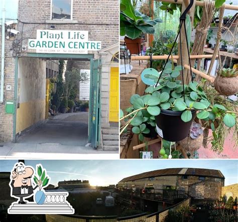 Urban Plant Life Dublin Opiniones Del Restaurante
