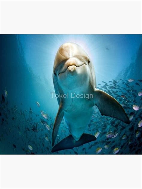 A Dolphin Swimming In The Ocean With Its Mouth Open And Its Eyes Closed