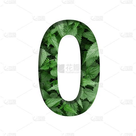 字体由叶子、数字零、零，在纸上剪出，背景是天然的绿色荨麻。新鲜幼自然叶容积地球日字体集。