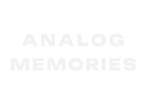 Analog Memories Nami Audio