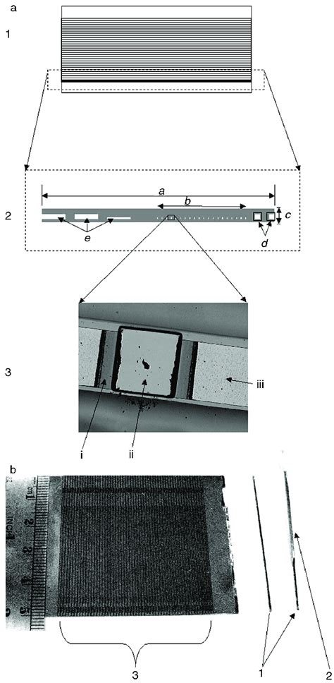 A Overview Of Arrayed Needle Biosensors 1 Biosensors Array Are Cut