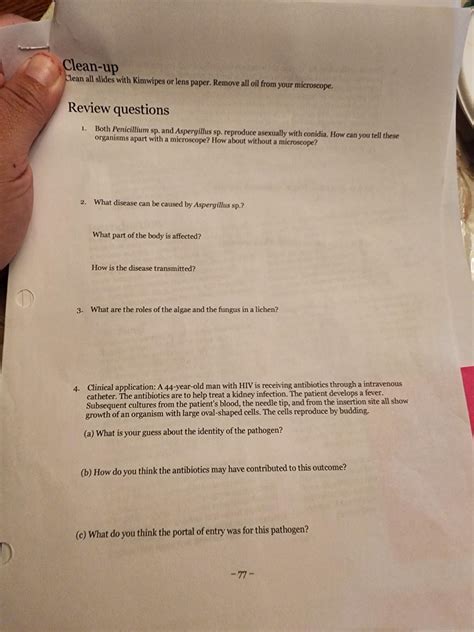 Solved Clean Up Clean All Slides With Kimwipes Or Lens Chegg Com