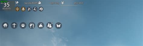 Custom Hp Bar What Went Wrong Blackdesertonline