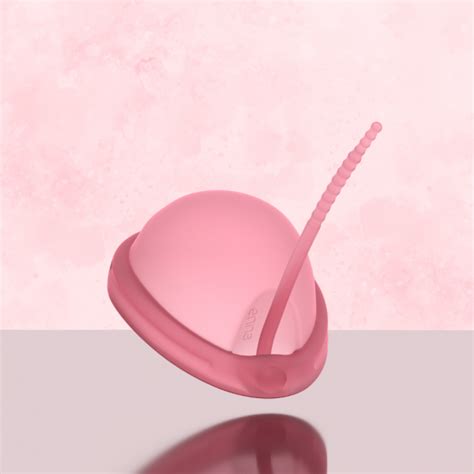 Enna Cycle Disc Copa Menstrual Ecareyou