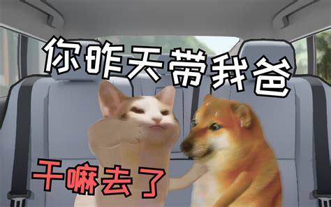 我爸心情不好你带他干嘛去了？ Cheems幻想 Cheems幻想 哔哩哔哩视频