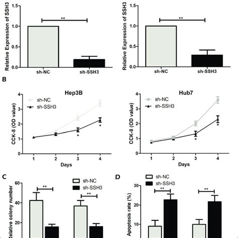 Silencing Ssh3 Inhibits Hcc Cell Proliferation And Promotes Its