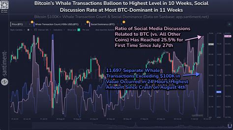Bitcoin Whale Transfers See Massive Spike Sign Of Profit Taking