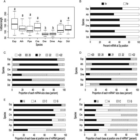Structural Characteristics Of Mirna Loci From Different Eukaryotic