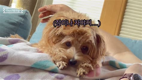 [ep 5] 흔들리지 않는 편안함~~ Youtube