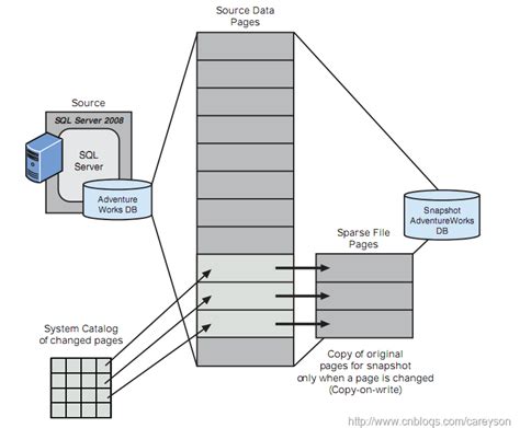 Sql Server快照解析 Csdn博客
