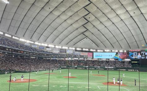 東京ド―ム開催！埼玉西武ライオンズvs福岡ソフトバンクホークス観戦記。超久々の野球観戦は0点だけどサイコー！！ Azzurriの