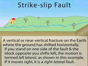 Fault Types 3 Basic Responses To Stress Incorporated Research