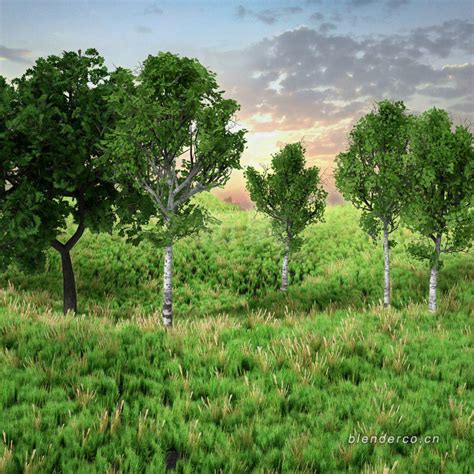 Blender森林树木草地场景风景模型blender布的 Blender布的