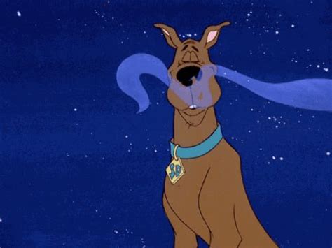 A Creepy Tangle In The Bermuda Triangle  Scooby Doo Pictures