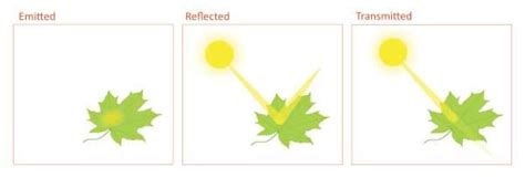 How Does Spectral Sensing Work Understanding The Basics Of