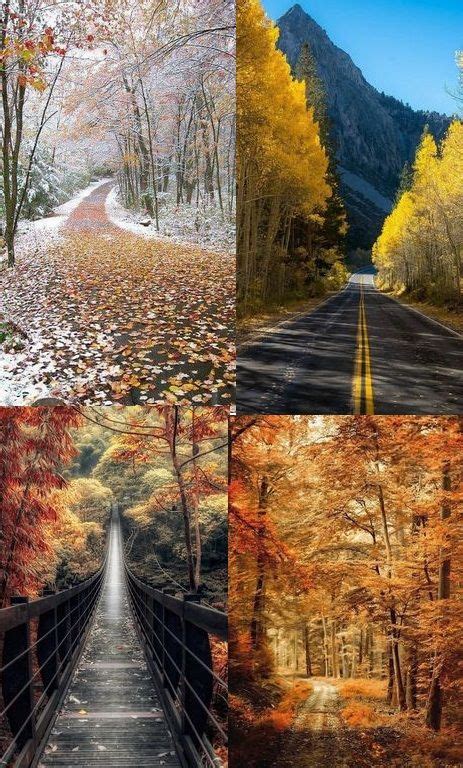 Pin By Юлія Yulia Очередько Ochered On Осіння Autumn Board Autumn