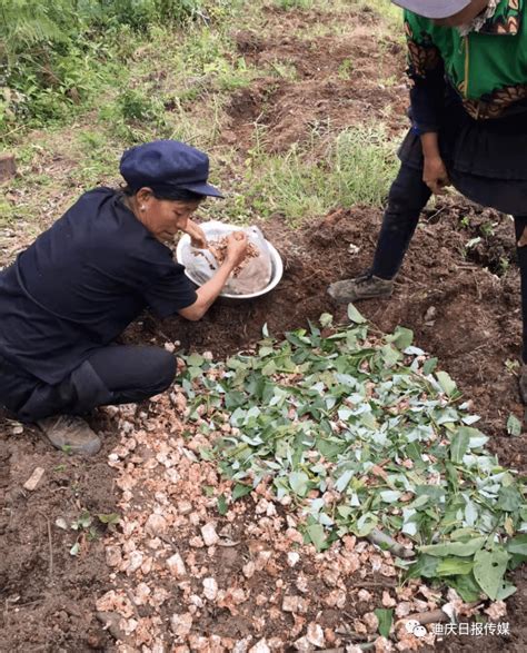 【助农增收典型实践案例】“小集市”傍上“大市场” 销售 企业 农户