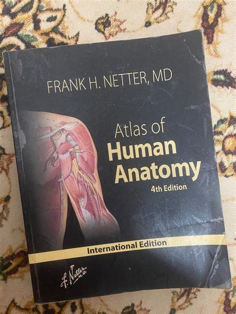 Netter Anatomy 4th Ed Hobbies And Toys Books And Magazines Textbooks On