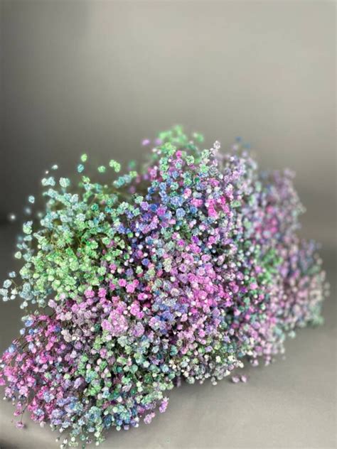 Радужная гипсофила 1 ветка купить в Мытищах недорого с доставкой