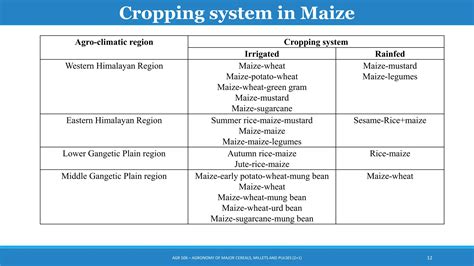 Cereal Based Cropping System In Indiapptx