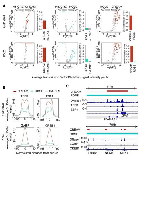 Transcription Factor Tf Binding Enrichment In Identified Individual Download Scientific