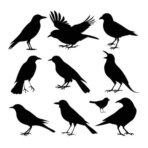 Premium Vector Set Of Crows Set Of Crow Silhouettes Crow Vector