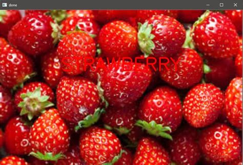 How To Setup Java — Spring Boot Using Gradle In Intellij Community Edition By Shantam Sultania