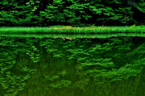 新緑の水鏡 by 近江源氏 ID6762840 写真共有サイト PHOTOHITO