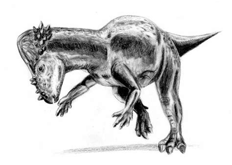 Пахицефалозавр Pachycephalosaurus — Динопедия