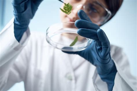 Gmo Testing Images Free Download On Freepik