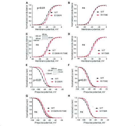 Voltage Dependence Of Activation And Steady State Inactivation The