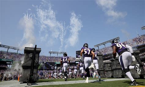 Dolphins Rally To Beat Ravens Global Times