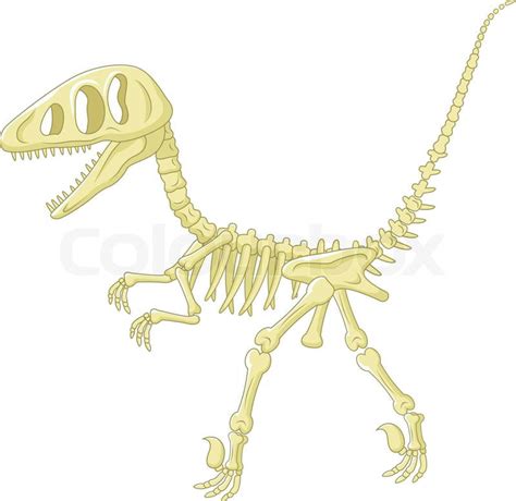 Vector Illustration Of Cartoon Dinosaur Skeleton Stock Vector Colourbox