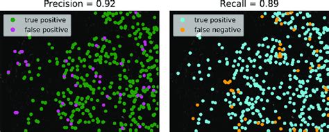 The In Situ Transcriptomics Annotation Pipeline Was Tested Using Rca