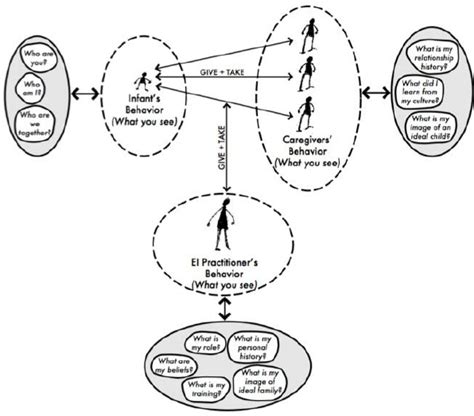 The Interaction Among Observable Behavior And The External Experience Download Scientific