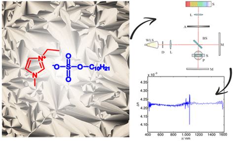 New Insights On The Characterization Of The Ionic Liquid Crystal 1