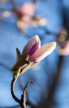 Turbidity Images Browse Stock Photos Vectors And Video Adobe Stock
